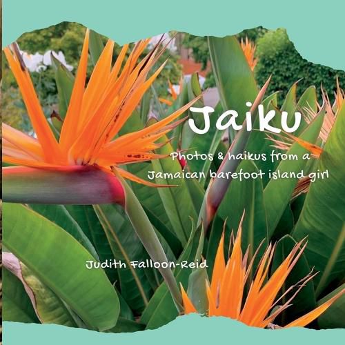 Jaiku, Judith Falloon-Reid (9789769659476) — Readings Books