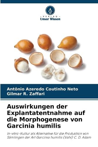 Auswirkungen der Explantatentnahme auf die Morphogenese von Garcinia ...