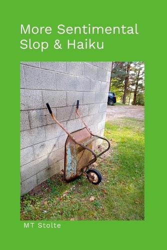 More Sentimental Slop & Haiku, Matthew Stolte (9781735385051 ...