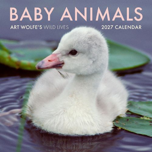 2027 Baby Animals Wall Calendar, Art Wolfe (9798887621982) — Readings Books