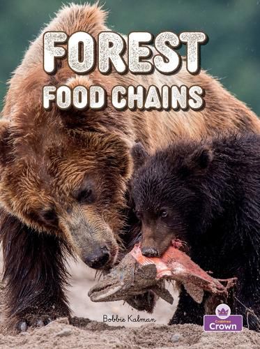 Forest Food Chains, Bobbie Kalman, Kelley MacAulay (9781039873537 ...