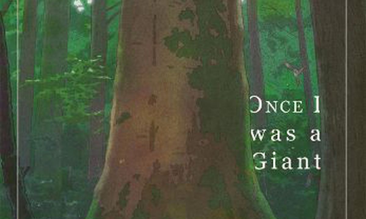 Once I was a Giant by Zeno Sworder — Readings Books