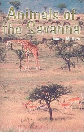 Animals of the Savanna, Joanne Mattern (9781404254213) — Readings Books