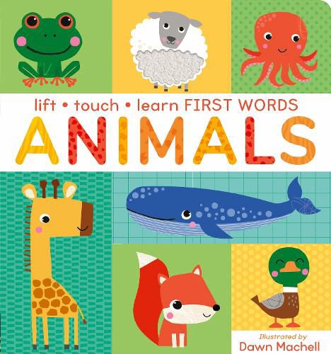 Lift, Touch Learn First Words: Animals, Villetta Craven (9781838919818 ...