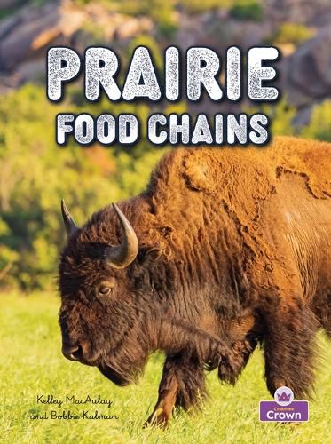 Prairie Food Chains, Molly Aloian, Bobbie Kalman (9781039872974 ...