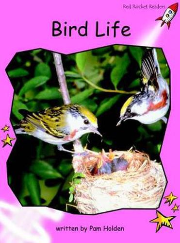 Red Rocket Readers: Pre-Reading Non-Fiction Set B: Bird Life (Reading ...