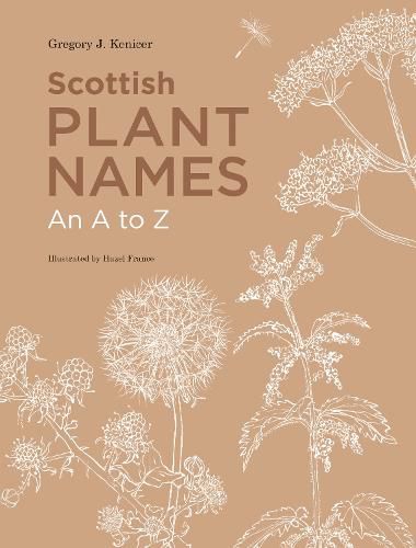 Dictionary of Scottish Plant Names, Gregory Kenicer (9781910877449 ...