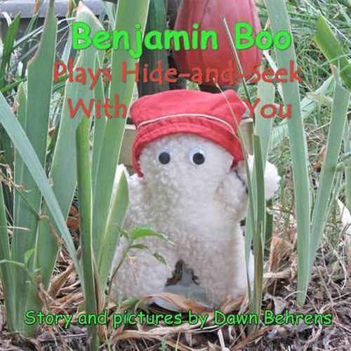 Benjamin Boo Plays Hide-and-Seek With You, Dawn Behrens (9780985750022 ...