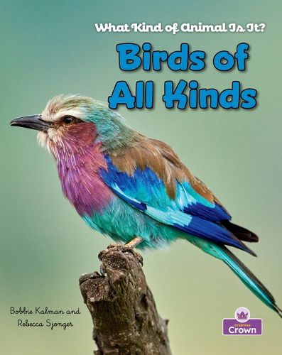 Birds of All Kinds, Kelley MacAulay, Bobbie Kalman (9781039873735 ...